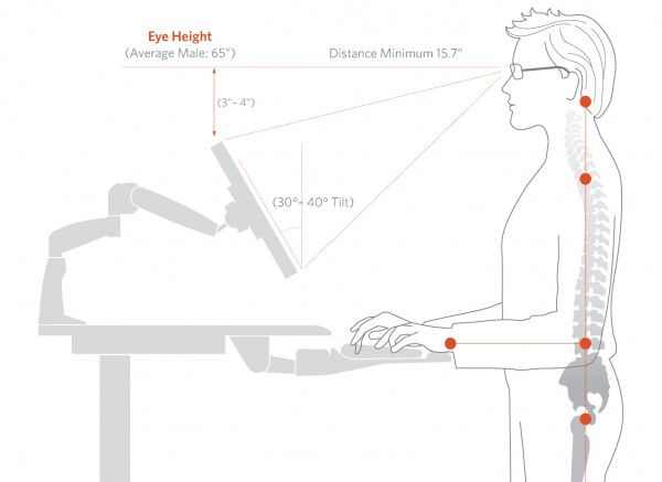 Facts About Standing Desks - Good Ergonomics In The Modern Workplace