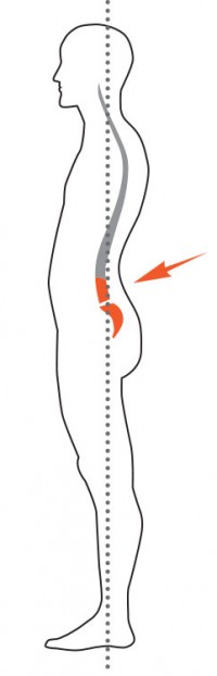 Good Posture Guide - Workrite Ergonomics