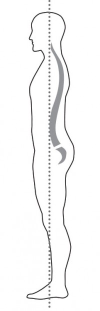 Good Posture Guide - Workrite Ergonomics